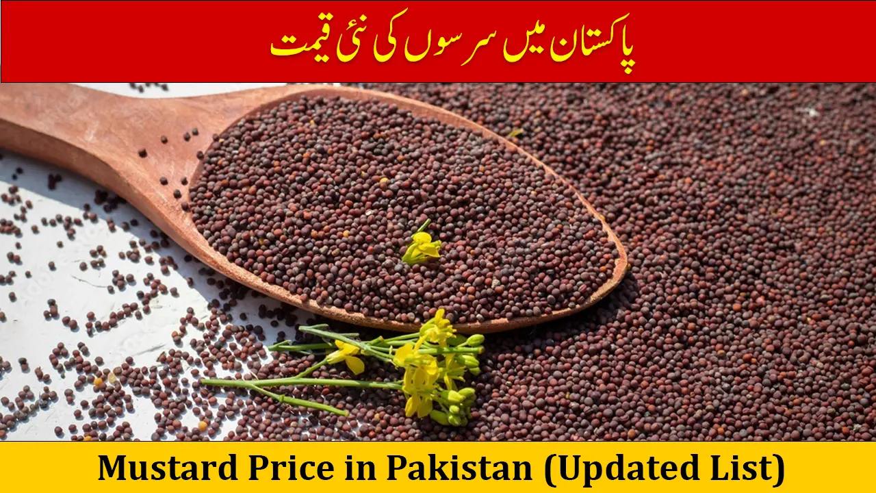 Mustard Price in Pakistan Today 28 January 2025 | Rate List