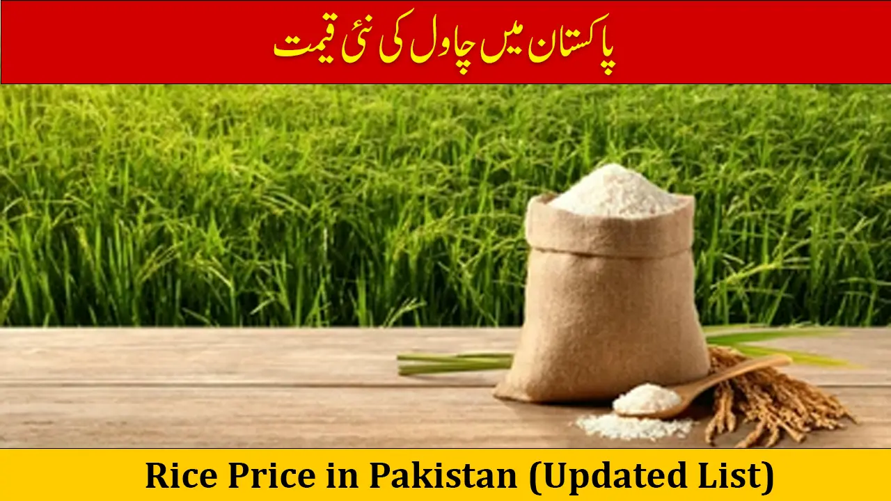 Rice Price in Pakistan Today 28 January 2025 | Latest Rate List